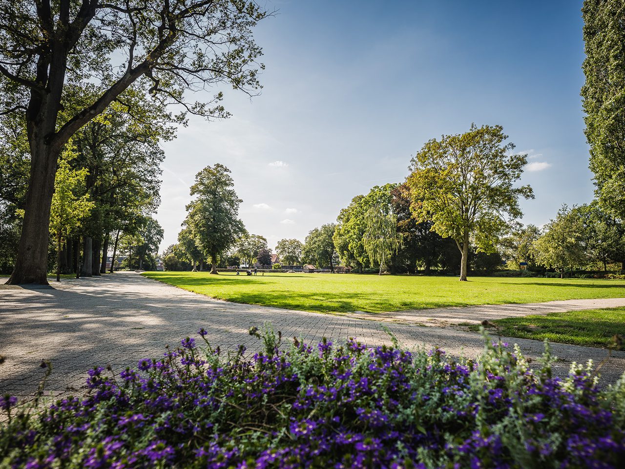 Ontdek In Het Volkspark - In Het Volkspark - 9 juli 2022 - Het ...